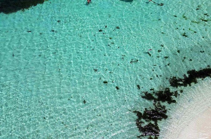 Full Day Private Boat Tour to the Lagoon of Guadeloupe - Who Would Enjoy This Tour?