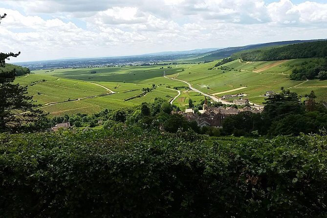 Full-day Private Burgundy Wine Route Tour from Beaune - The Practical Side: Whats Included & What to Keep in Mind