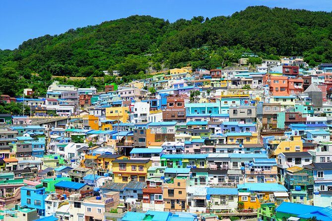 Full Day Private Busan Highlight Tour with Licensed Guide - Who Is This Tour Best For?