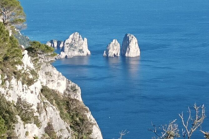 Full-Day Private Capri, Anacapri and Blue Grotto Tour from Naples - Who Will Love This Experience?