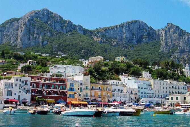 Full-Day Private Capri and Pompeii from Sorrento - Key Points