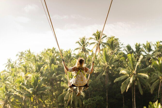 Full-Day Private Car Charter in Bali with Local Guide - Picheaven Bali Swing: 1 Hour