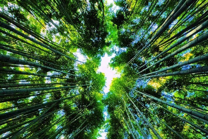 Full Day Private Car Tour in Kyoto - The Itinerary in Detail