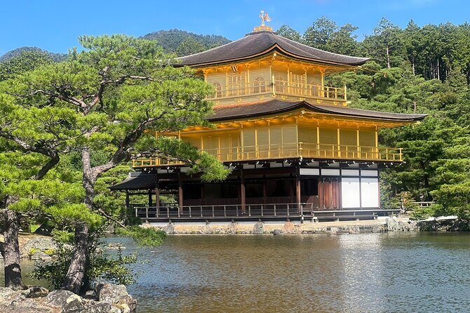 Full Day Private Car Tour in Kyoto - The Practicalities: What You Need to Know