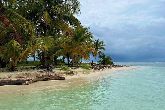 Full-Day Private Catamaran, Turks and Caicos Cruise - Authentic Experiences and Honest Feedback