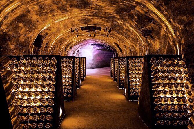Full-Day Private Champagne Tasting in Reims and its Vineyards - Authentic Feedback and Highlights from Past Travelers