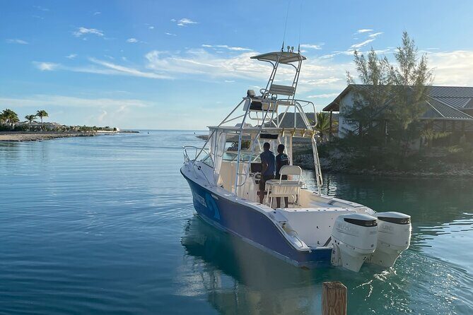 Full Day Private Charter Bottom Fishing Experience - What Past Travelers Say