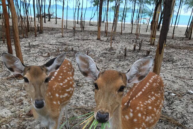 Full day Private Charter to the Southern Islands - FAQ