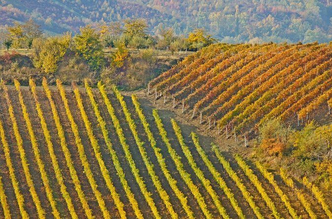 Full Day Private Chateau Changyu Wine Tour from Beijing - FAQ