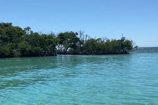 Full-Day Private Cruise in Cayo Caracoles - Final Verdict