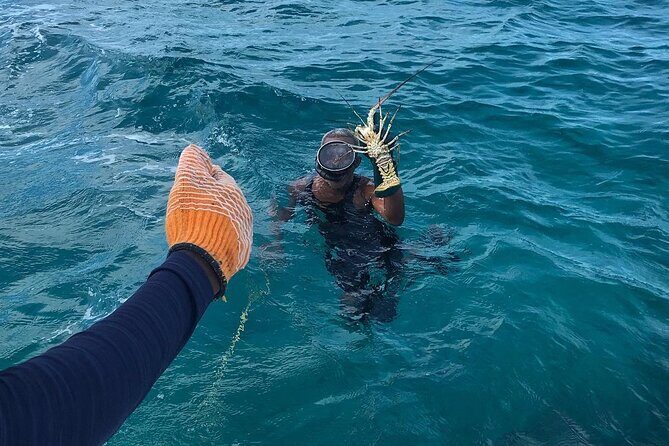 Full-Day Private Cruise in Turks and Caicos with Lunch - Pricing and Value