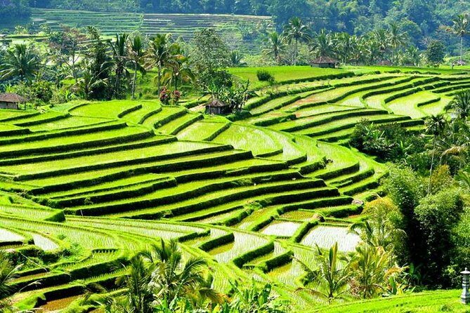 Full-Day Private Cultural Bali Tour + Balinese Driver - FAQs