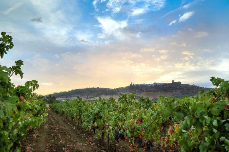 Full-Day Private Cultural Tour in Evora and Monsaraz - An In-Depth Look at the Tour