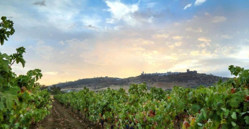 Full-Day Private Cultural Tour in Evora and Monsaraz - Analyzing the Cost & Experience Value