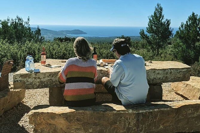 Full-Day Private Custom-Made Cannes Shore Excursion - Who Should Book This Tour?