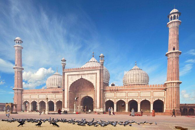 Full Day Private Custom Tour of New Delhi - An In-Depth Look at the Tour