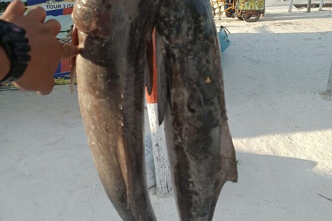 Full Day Private Deep Sea Fishing in Holbox - FAQs