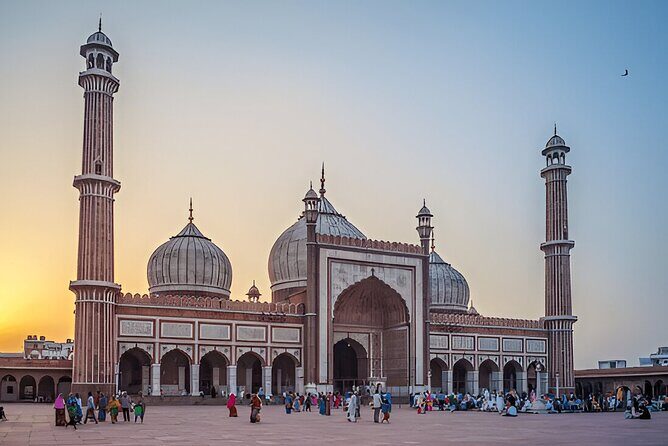 Full Day Private Delhi Sightseeing Tour with Local Guide - Transportation and Logistics