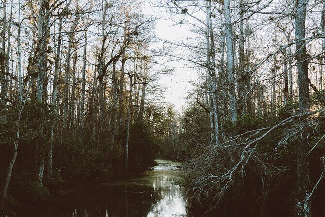 Full-Day Private Everglades and Miami City Tour - The Sum Up