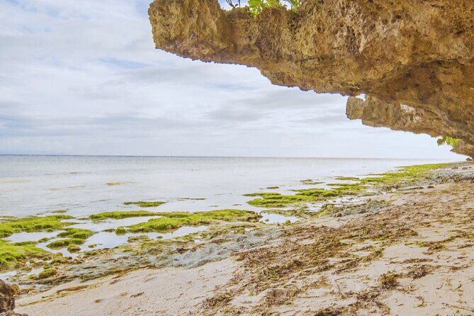 Full Day Private Exclusive Tour of Anda in Bohol - The Sum Up