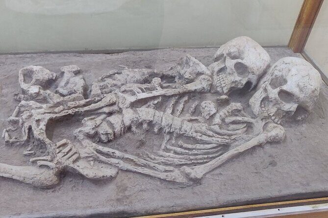 Full Day Private Excursion to Lothal & Uthellya from Ahmedabad - Practical Details & Experience