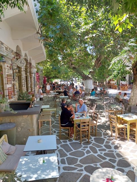 Full-Day Private food tour in Naxos local Villages - Kaloxylos Village and Its Industrial Roots