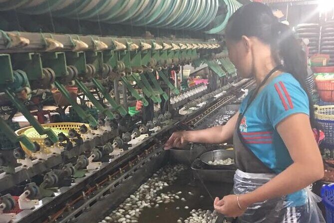 Full-Day Private Guided Dalat Countryside Tour - What We Love and What to Consider