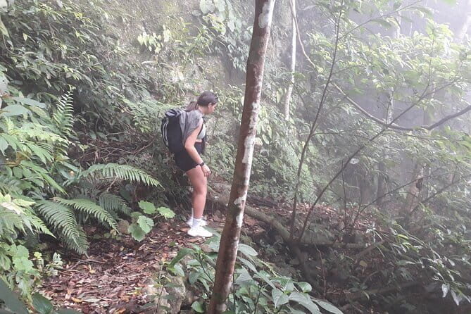Full-Day Private Guided Hiking Tour of Ba Vi National Park - Exploring the Full-Day Private Guided Hiking Tour of Ba Vi National Park