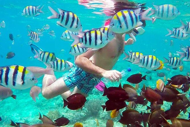 Full-Day Private Guided Lombok Snorkeling 3 Gili Islands - Introduction: The Allure of Gili Islands via Lombok