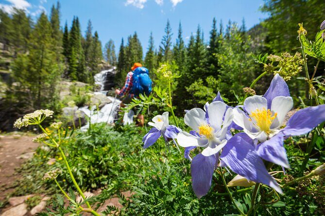 Full-Day Private Guided Scenic Colorado Mountain Hike - FAQ