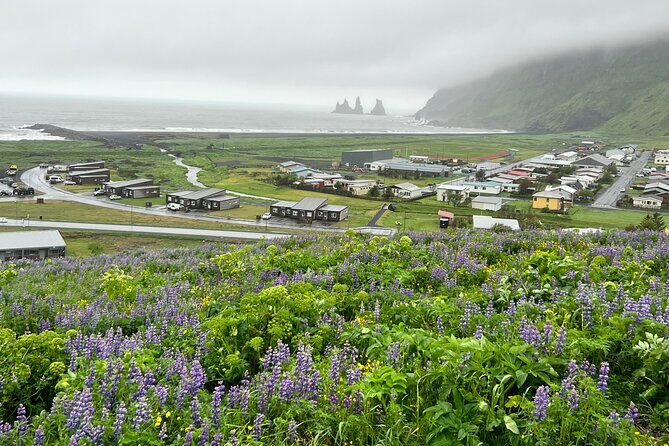 Full-Day Private Guided Tour in South Coast, Iceland - Who Will Love This Tour?