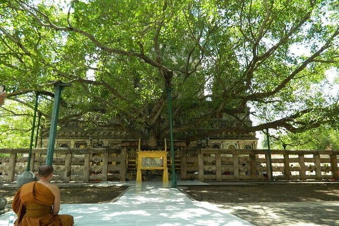 Full day Private Guided Tour of Sarnath from Varanasi - Discover the Spiritual Heritage of Sarnath with a Private Guided Day Trip