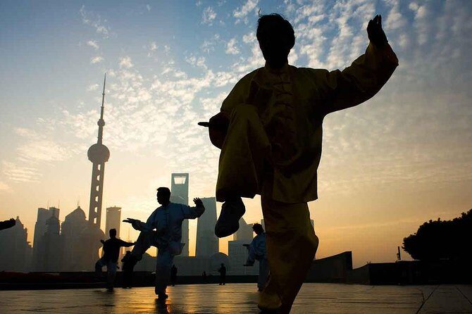 Full-Day Private Guided Tour of Shanghai - Who Would Benefit Most from This Tour?