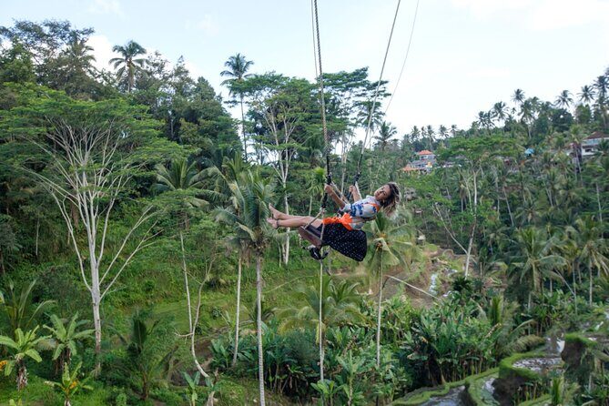 Full Day Private Guided Tour to Bali - Who Will Love This Tour?