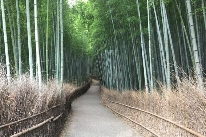 Full-Day Private Guided Tour to Kyoto, Arashiyama - Key Points