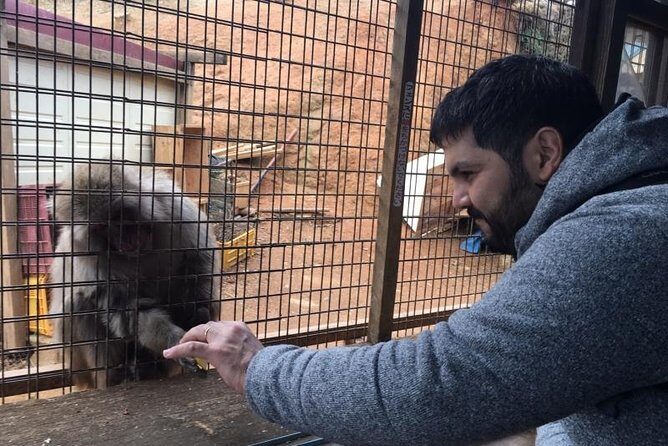 Full-Day Private Guided Tour to Kyoto, Arashiyama - Final Thoughts