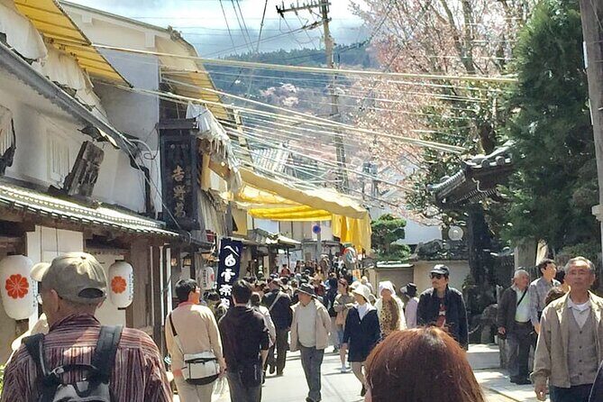 Full-Day Private Guided Tour to Yoshino, Japanese Mountain - Who Would Enjoy This Tour?