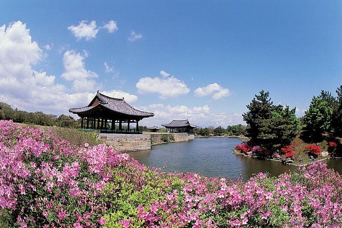 Full day Private Gyeongju UNESCO Heritage Tour : a glimpse into Silla - The Sum Up