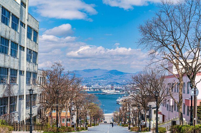 Full-Day Private Hakodate Shore Tour with Local Guide - The Sum Up