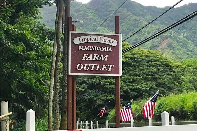 Full Day Private Hawaiian Culture Tour with Guide - An in-depth Look at the Tour Components