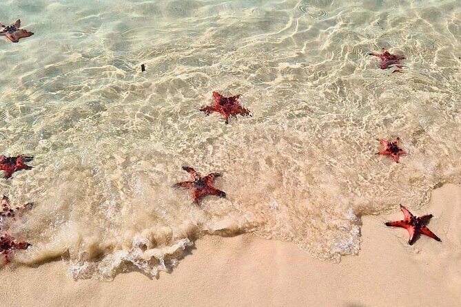 Full Day Private Journey to Northern Phu Quoc - Why This Tour Offers Good Value