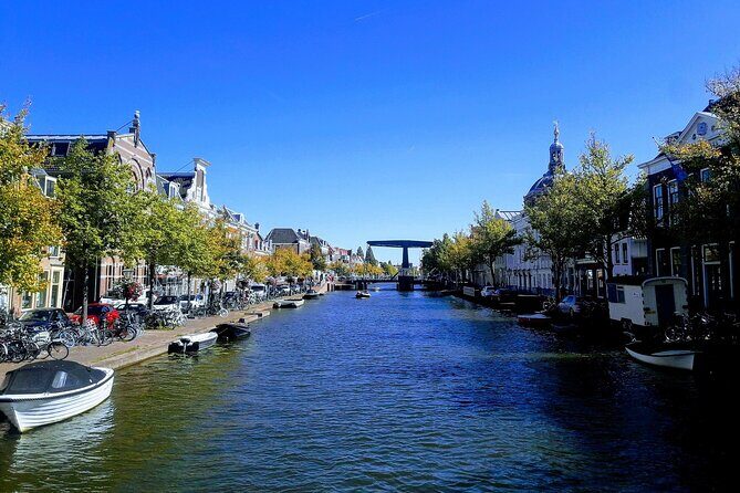 Full Day Private Kinderdijk and South Holland Tour - Who Is This Tour Best Suited For?