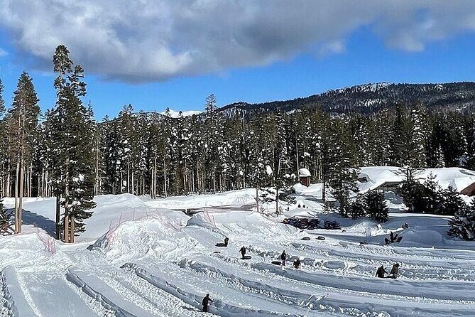 Full Day Private Lake Tahoe Tour from Oakland - What’s Included and What Isn’t