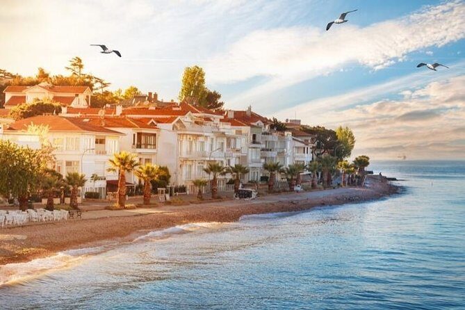 Full Day Private Luxury Yacht Cruise to Princes' Island and / or Bosphorus - The Experience in Detail