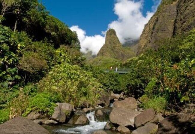 Full Day Private Maui Tour - Key Points