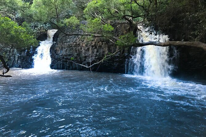 Full Day Private Maui Waterfall, Beach & Hana Tour - FAQ