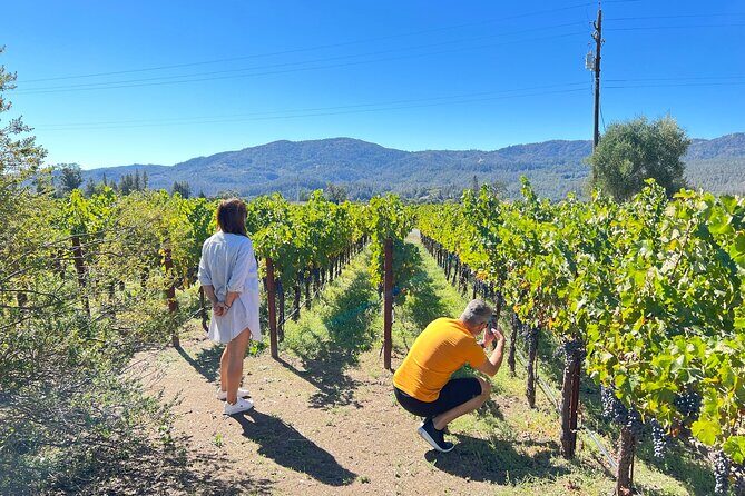 Full Day Private Napa Valley Wine Experience - Final Thoughts