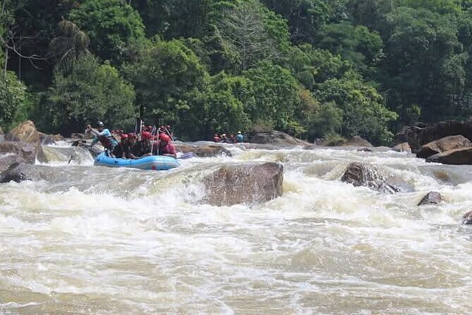 Full Day Private Nature Tour in the Hidden Gems of Sri Lanka - Final Thoughts