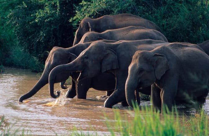 Full Day Private Nature Tour in the Hidden Gems of Sri Lanka - FAQ