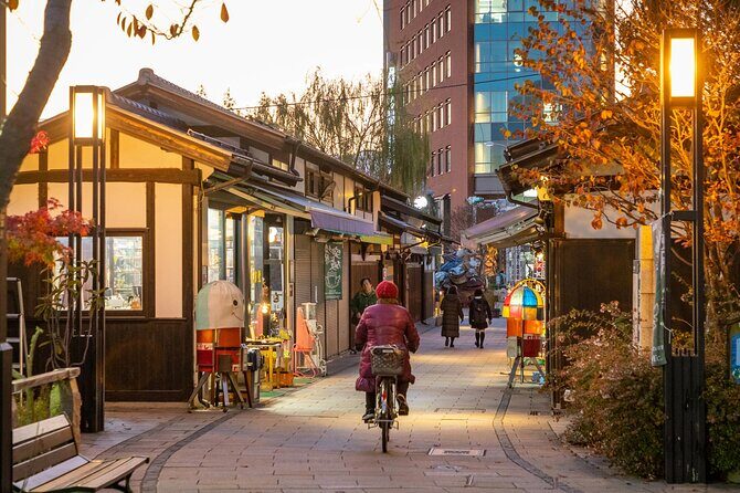 Full-Day Private Nikko Tour from Tokyo wd English Speaking Driver - FAQ